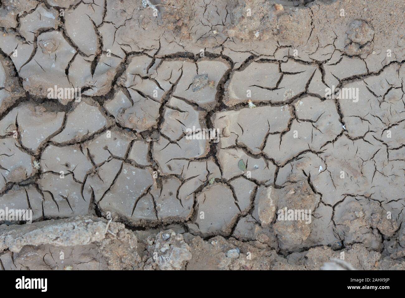 cracks in ground, texture background, no water without rain Stock Photo ...