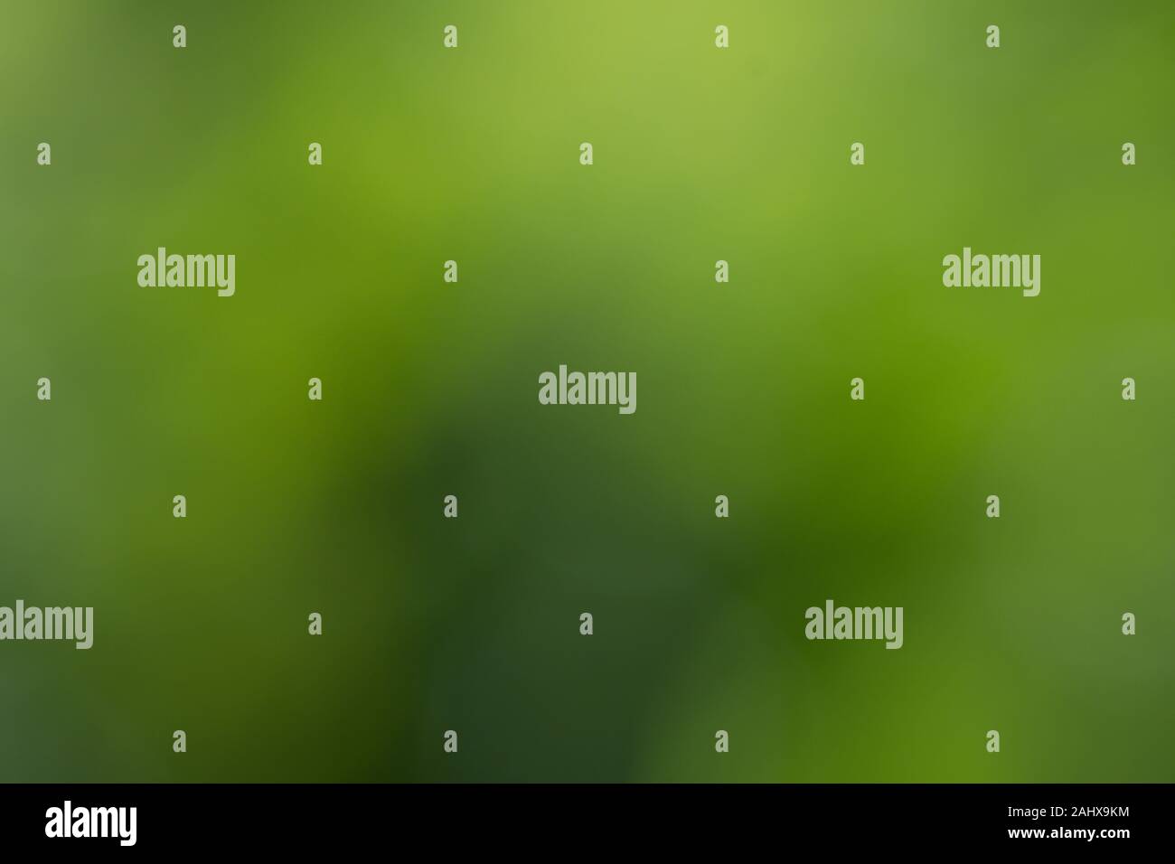 Abstract green nature blurred background Stock Photo - Alamy