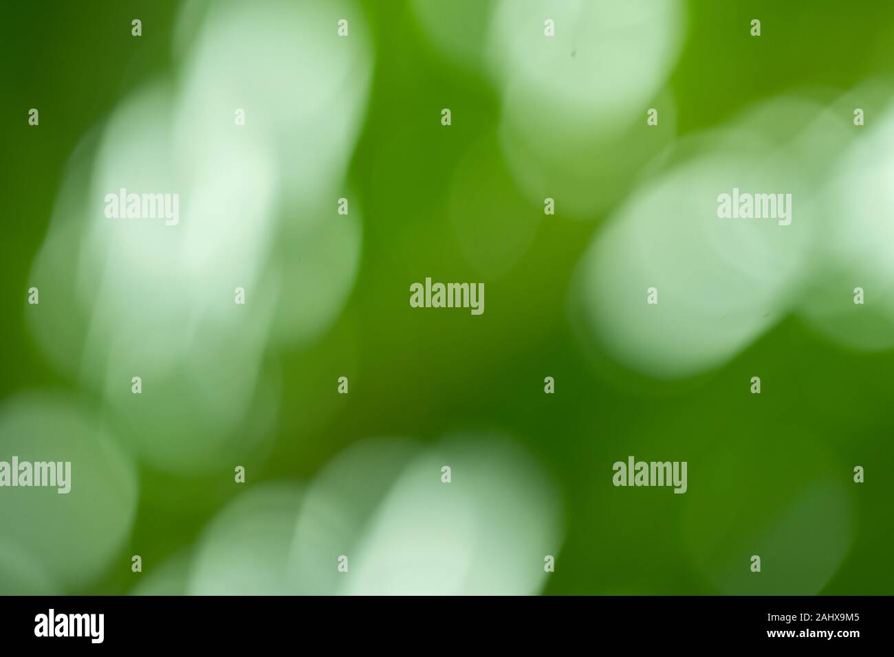 Natural green leaves background,blurred and defocused effect Stock ...