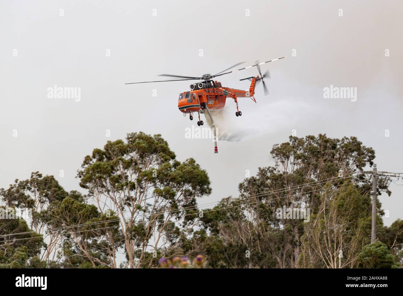 Erickson Air Crane helicopter (Sikorsky S-64) N243AC dropping a large ...
