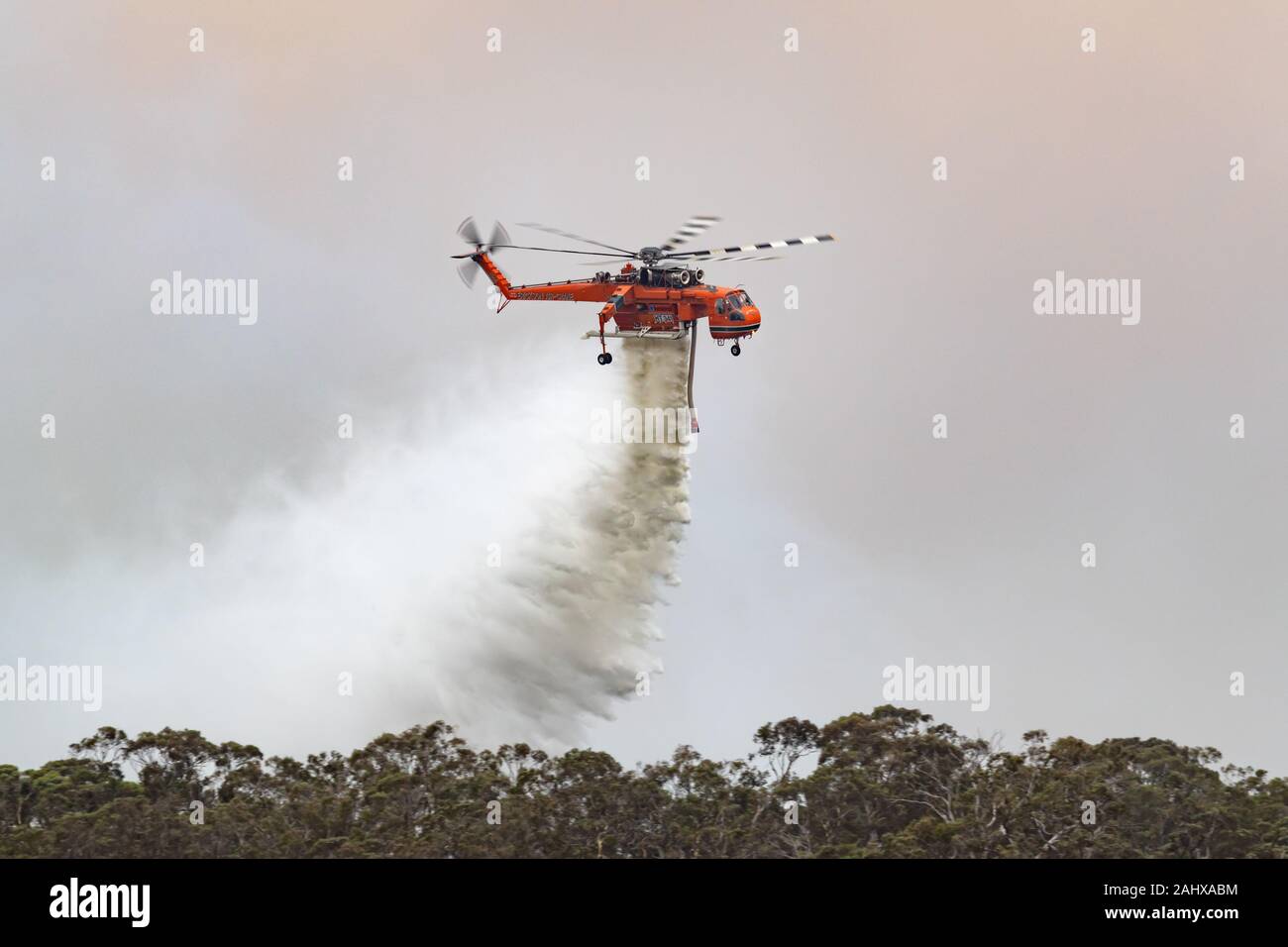 Erickson Air Crane helicopter (Sikorsky S-64) N243AC dropping a large ...