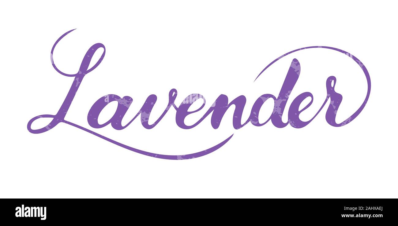 Vector hand written lavender text isolated on white background. Kitchen ...