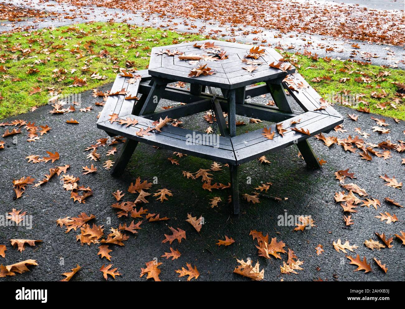 Fall season in a park. Oak foliage fallen on picnic table in a park ...