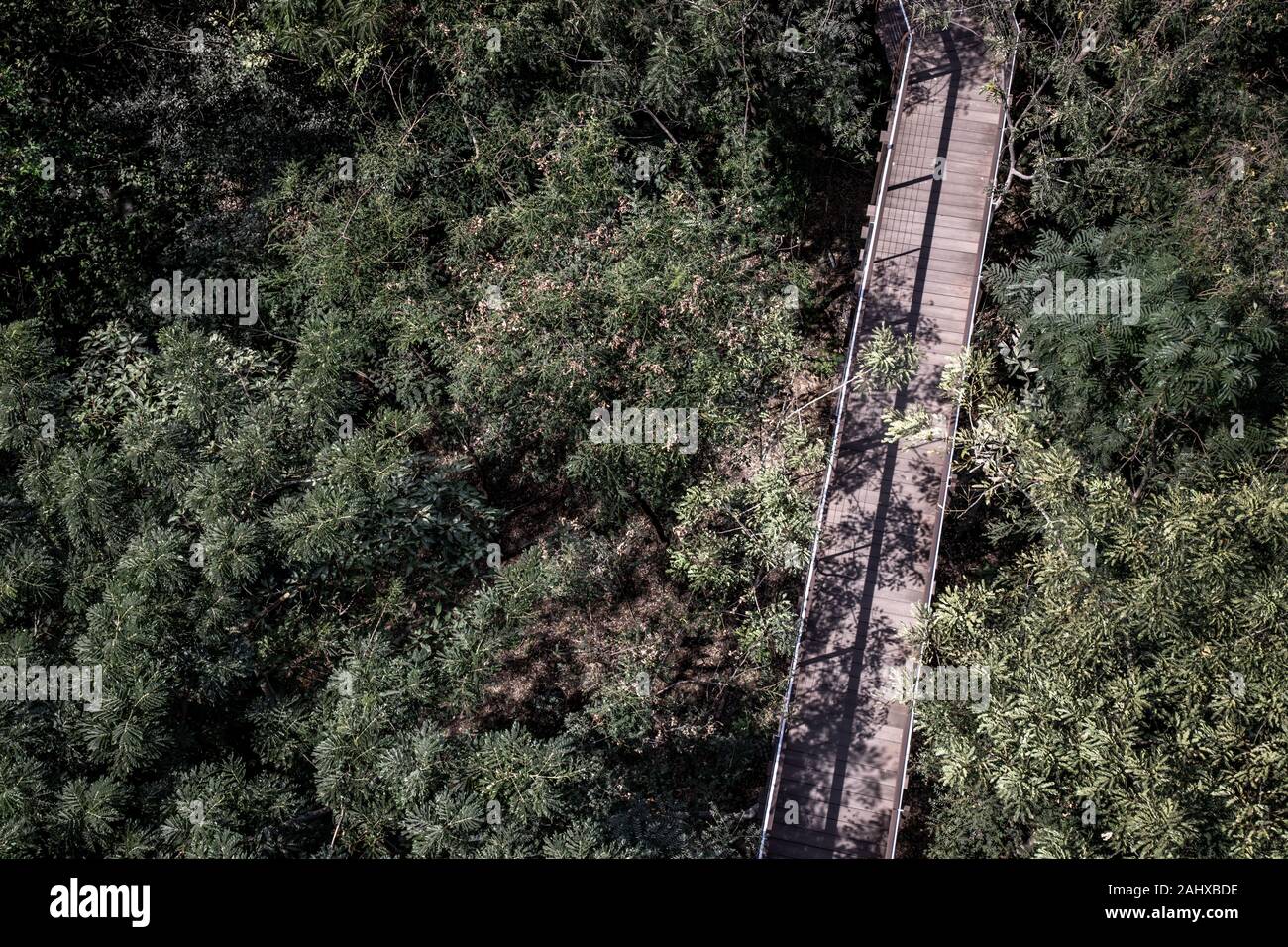 Top view of nature park with wooden walkway with trees, Beauty nature ...
