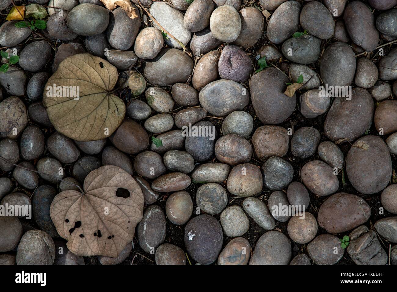 The background of the stone pile, That has Sun rays shining through ...