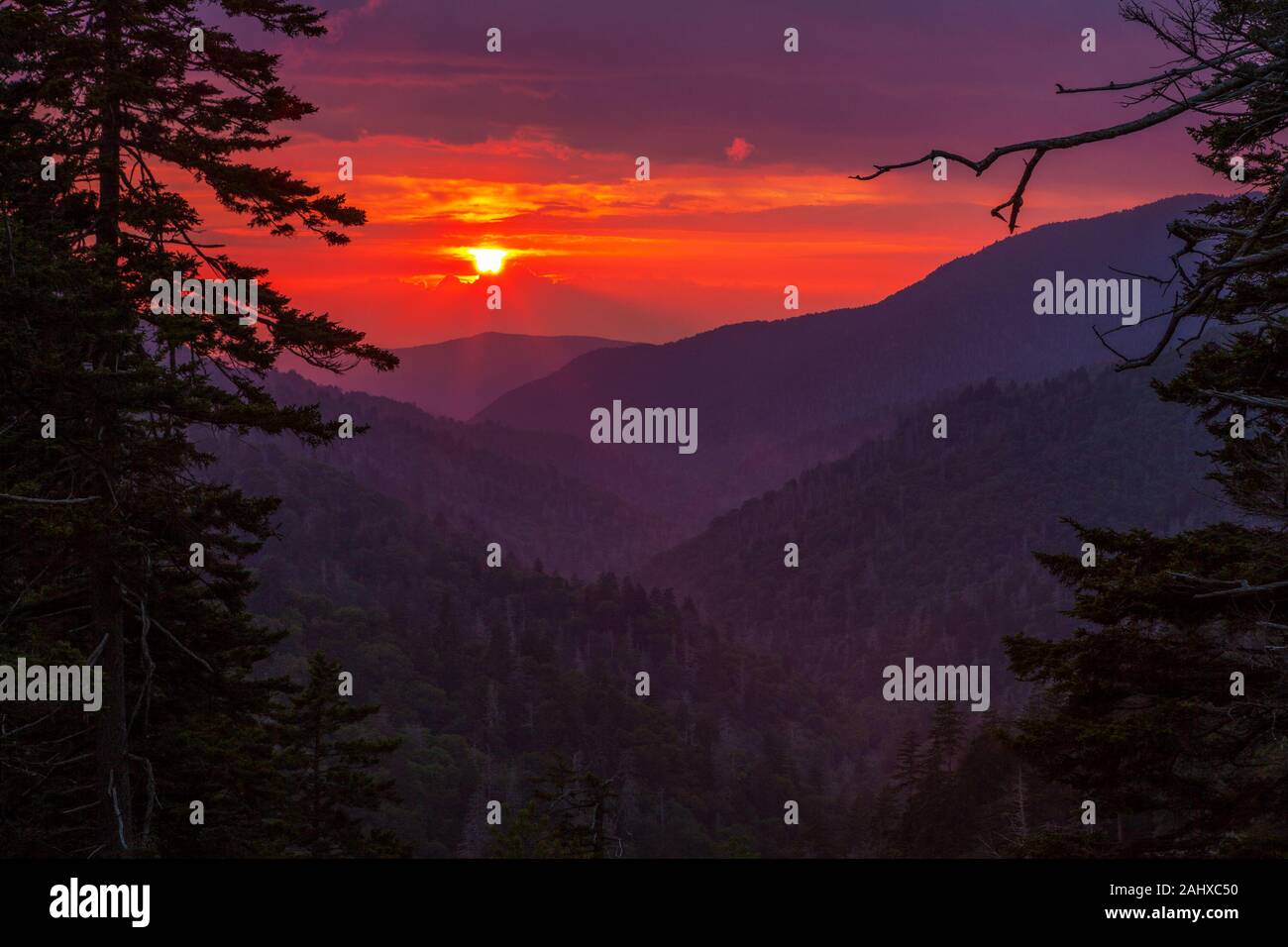 Smoky mountain national park hi-res stock photography and images - Alamy
