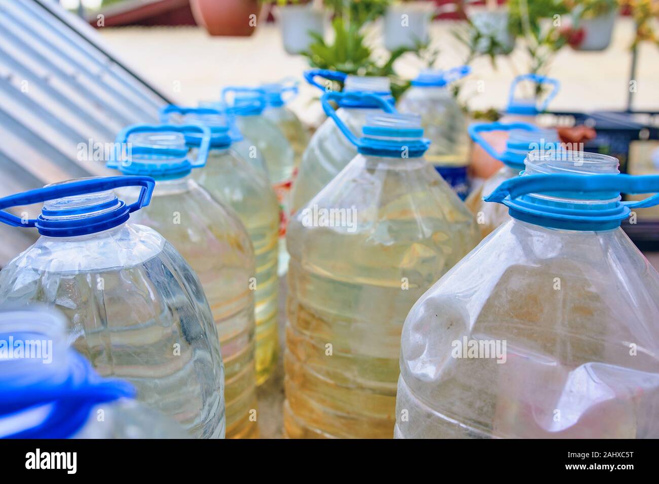 Plastic bottle watering plants hi-res stock photography and images - Alamy
