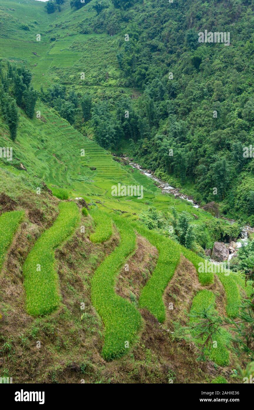 Aerial view of rice terraces and river. Asian countryside landscape ...