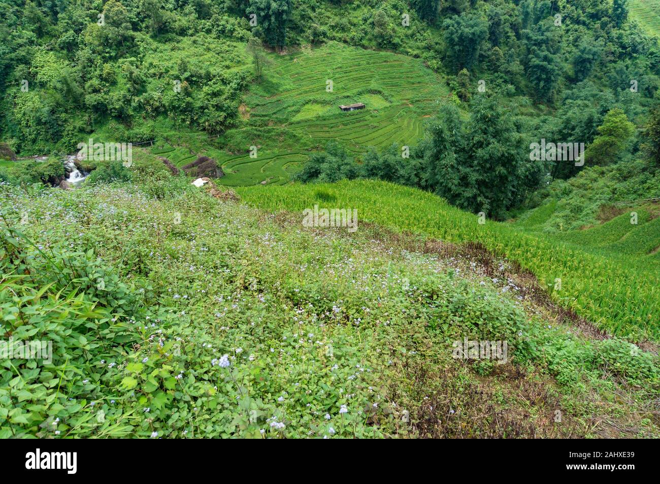 Aerial view of Asian countryside with meadow, rice terraces and river ...