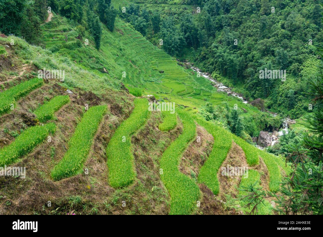 Aerial view of rice terraces. Asian countryside landscape Stock Photo ...