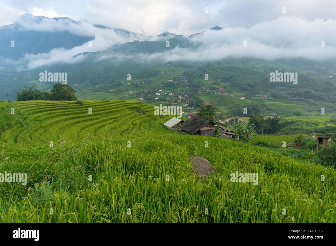 Countryside landscape with rice terraces. Vietnam Stock Photo - Alamy