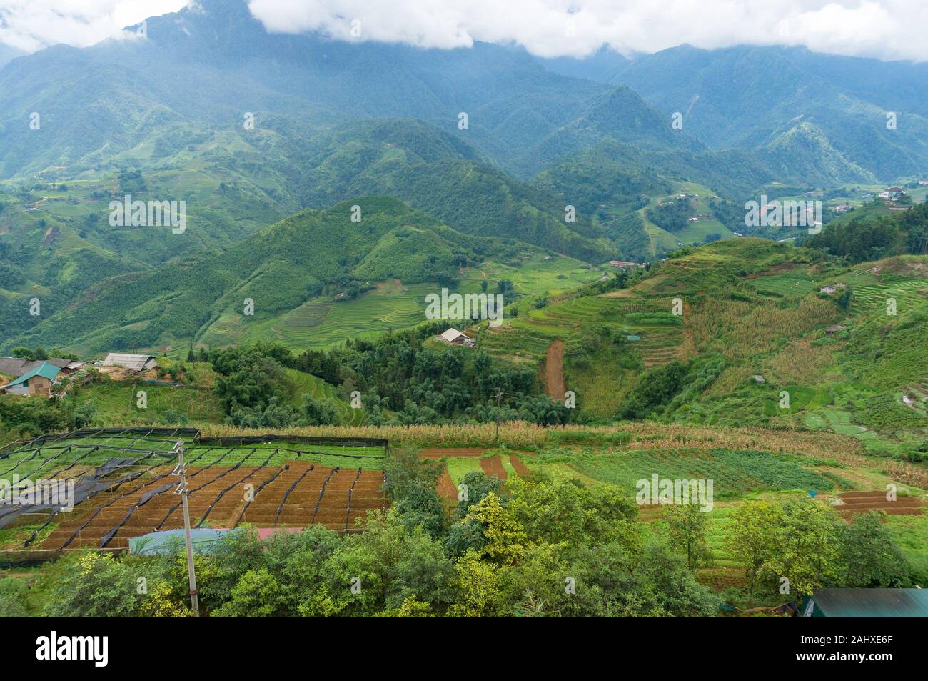Aerial landscape of mountain farmland with rice terraces and fields ...