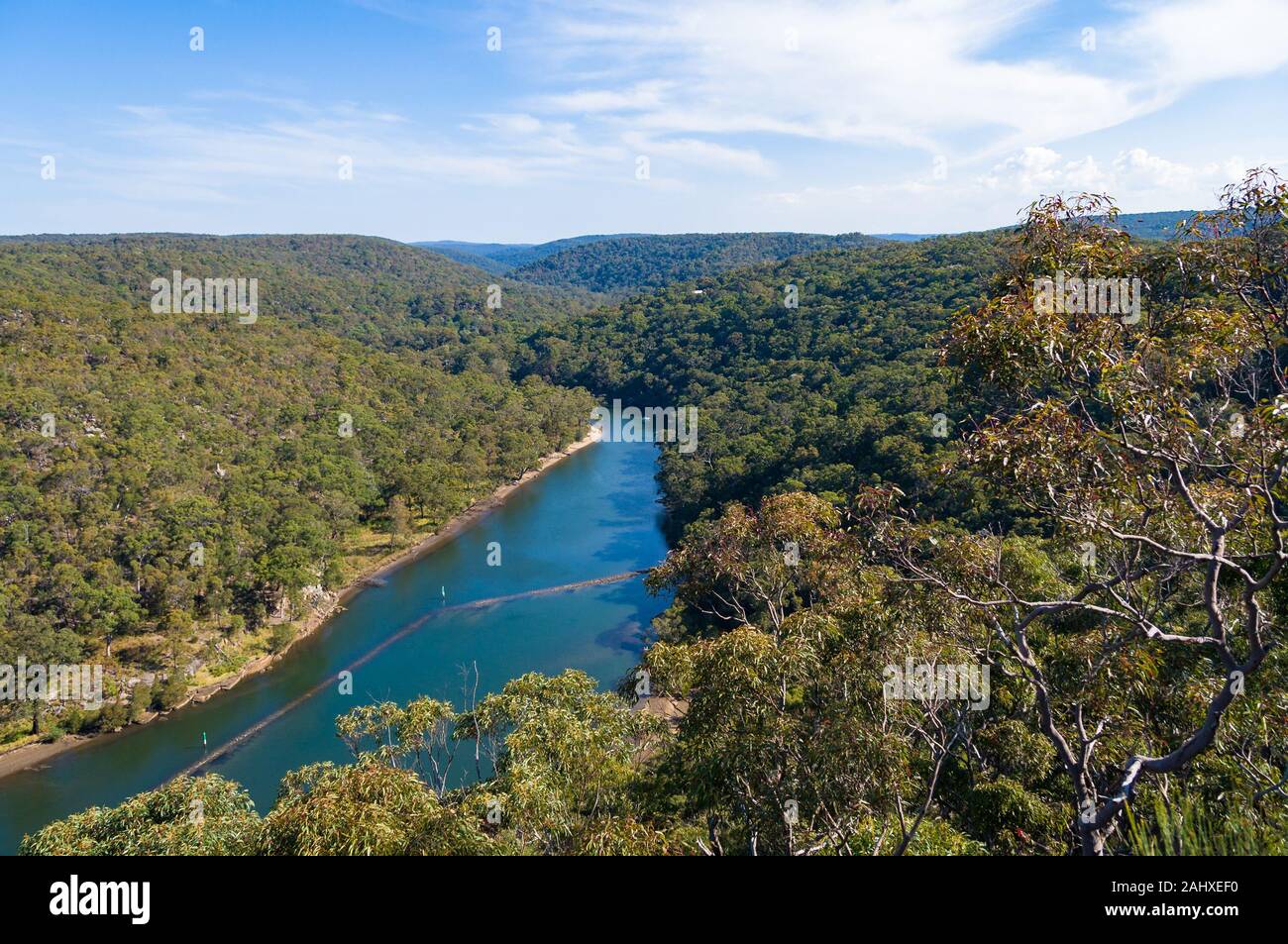 Eucalyptus forest of Royal National Park with Hacking river. Australian ...