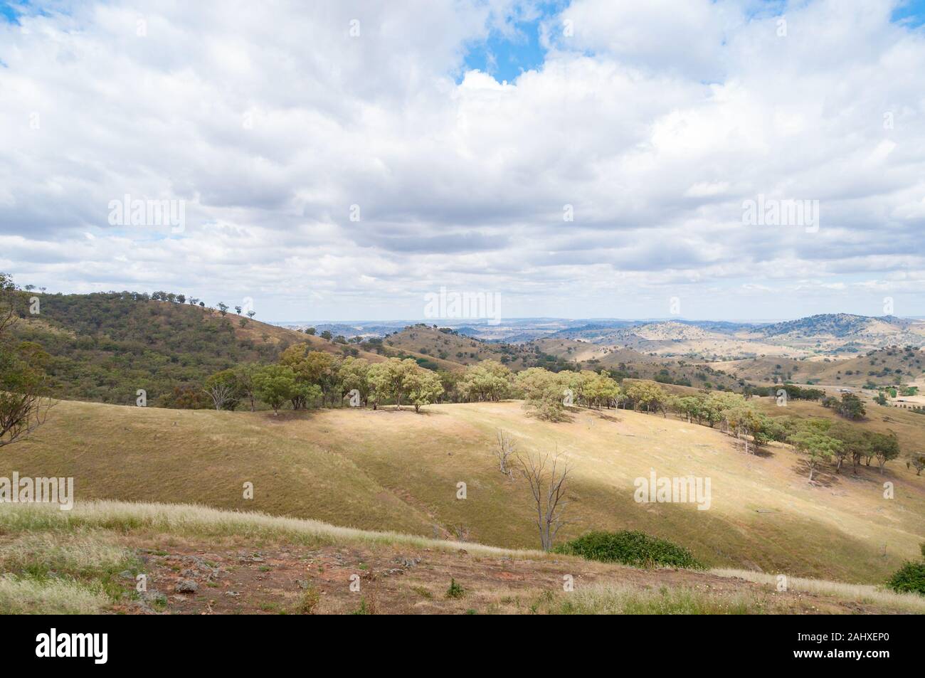 Australian outback landscape with hills and paddocks. nature background ...