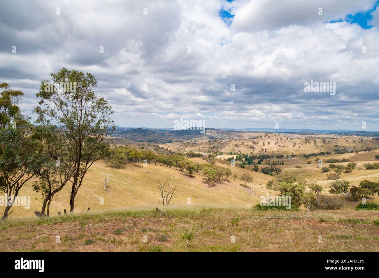 Australian trees from above hi-res stock photography and images - Alamy