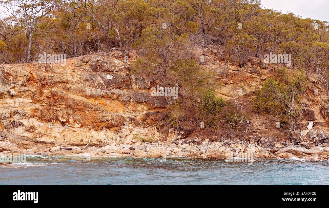 Rocky coastal shoreline with brown layered volcanic shale and spindly ...