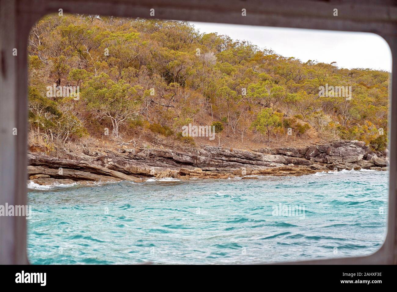 Rocky coastal shoreline with brown layered volcanic shale and spindly ...