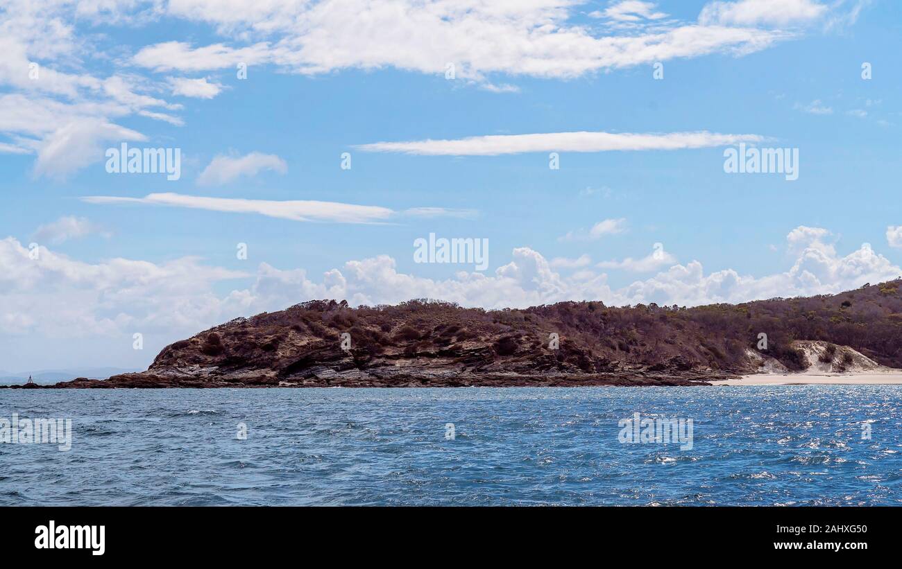 Rocky coastal shoreline with brown layered volcanic shale and spindly ...