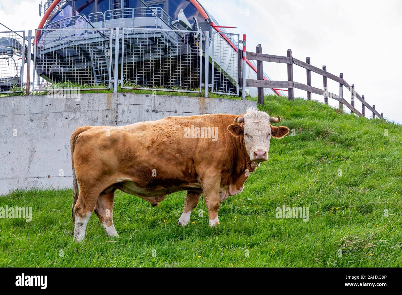 Tornik zlatibor serbia hi-res stock photography and images - Alamy