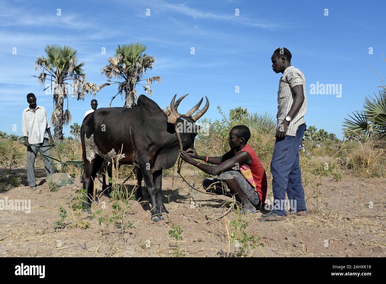 Southern sudan village hi-res stock photography and images - Alamy