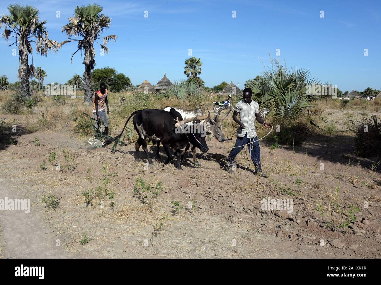 Nyamlell, Sudan. 20th Nov, 2019. Thuch Aguot and his son show how their ...