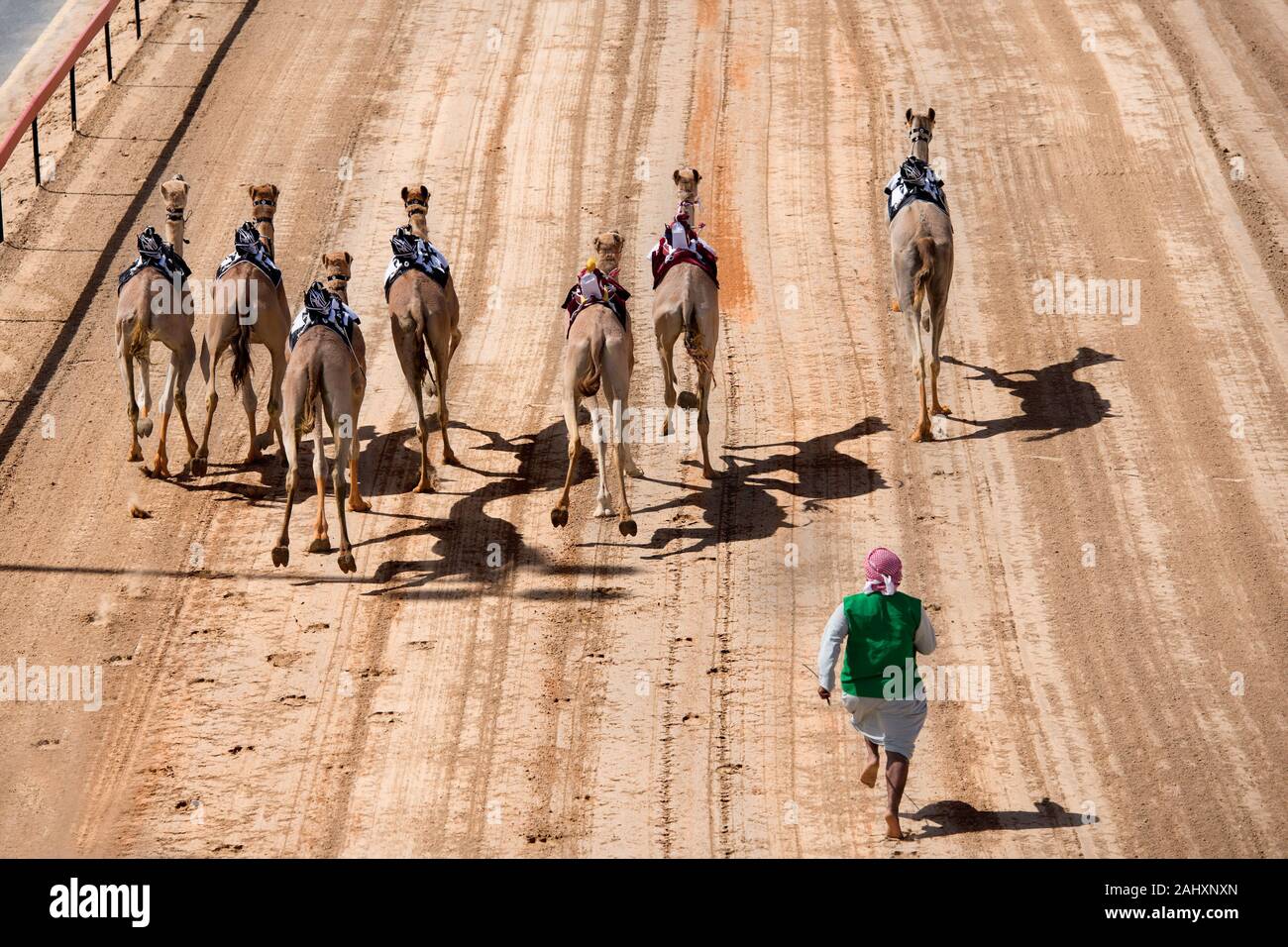 Life on Desert Stock Photo - Alamy