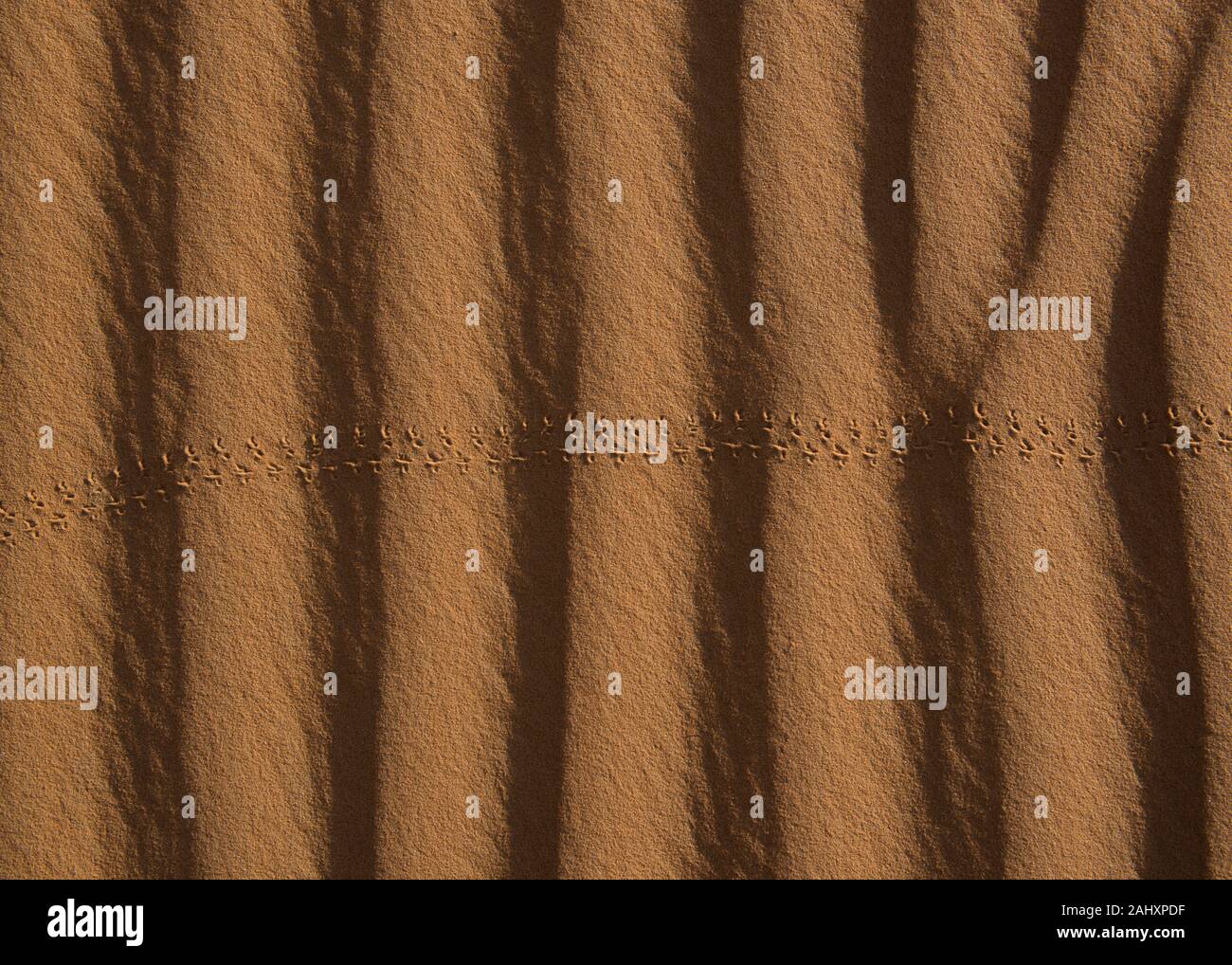 Desert Texture Collection Stock Photo - Alamy