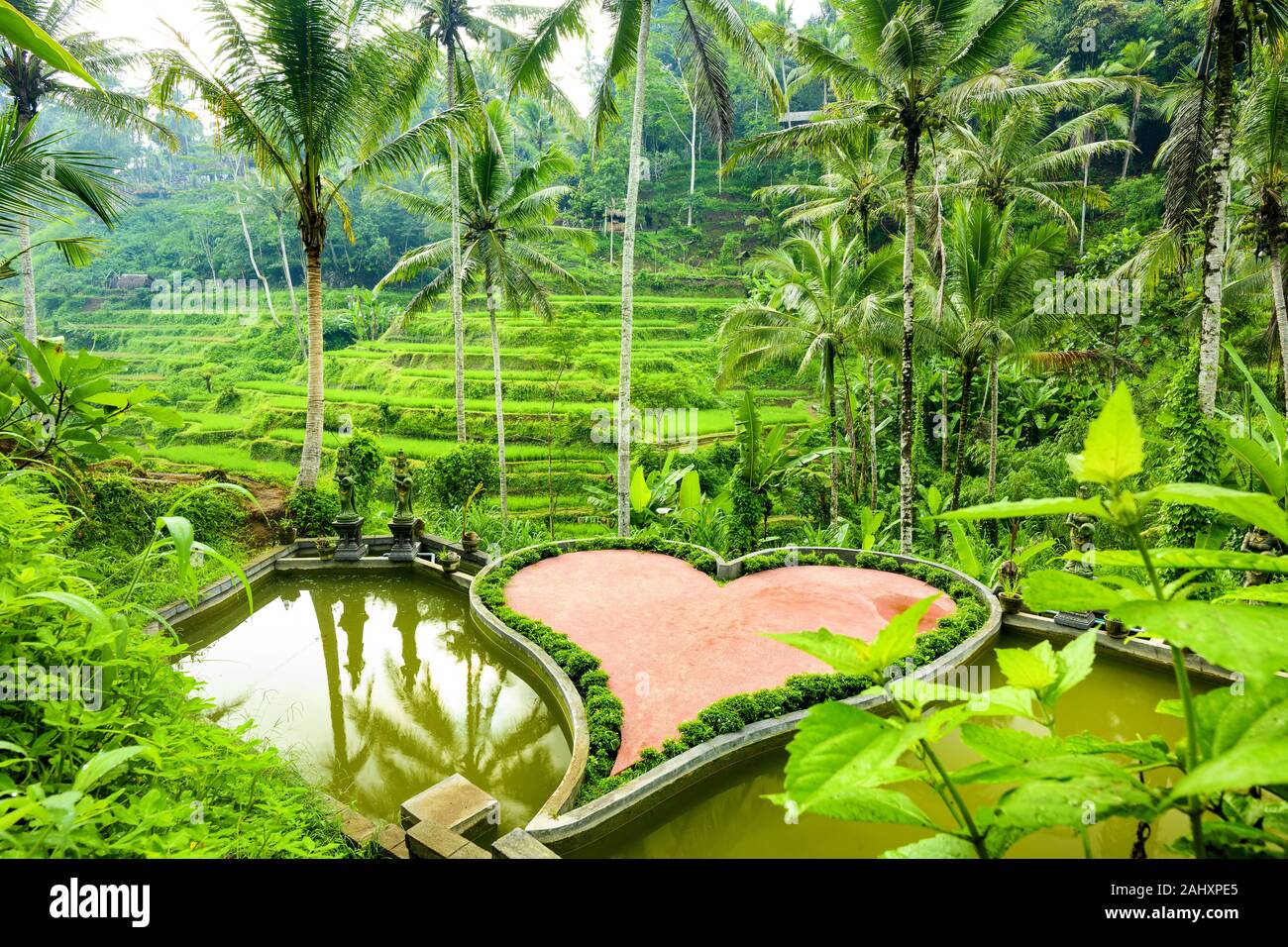 Tegalalang Rice Terrace