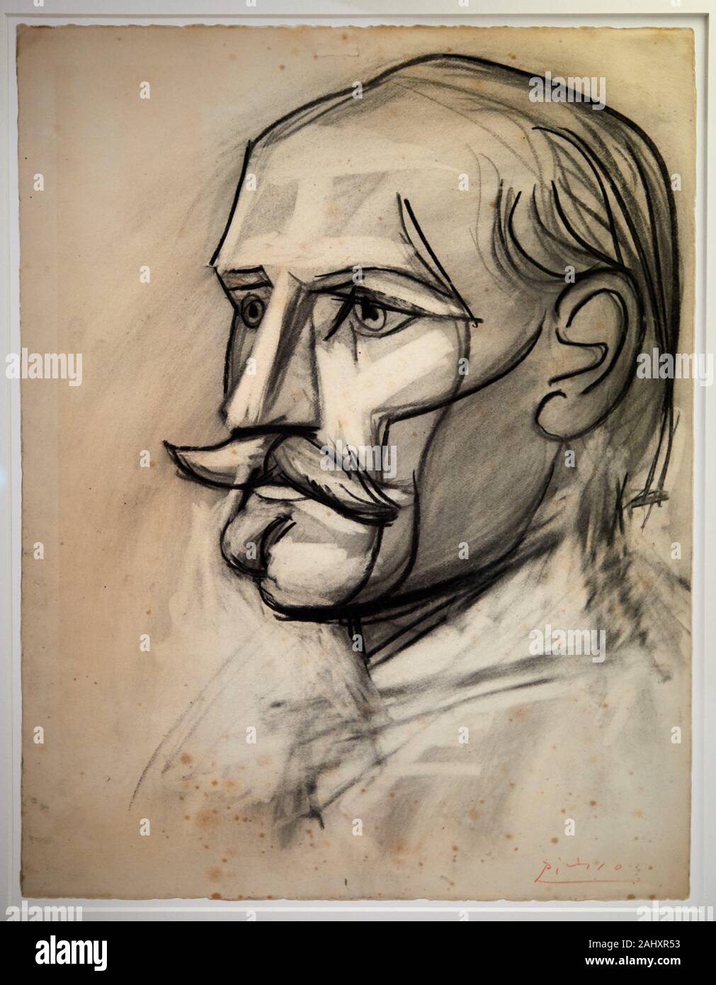 Paulo Joseph Picasso