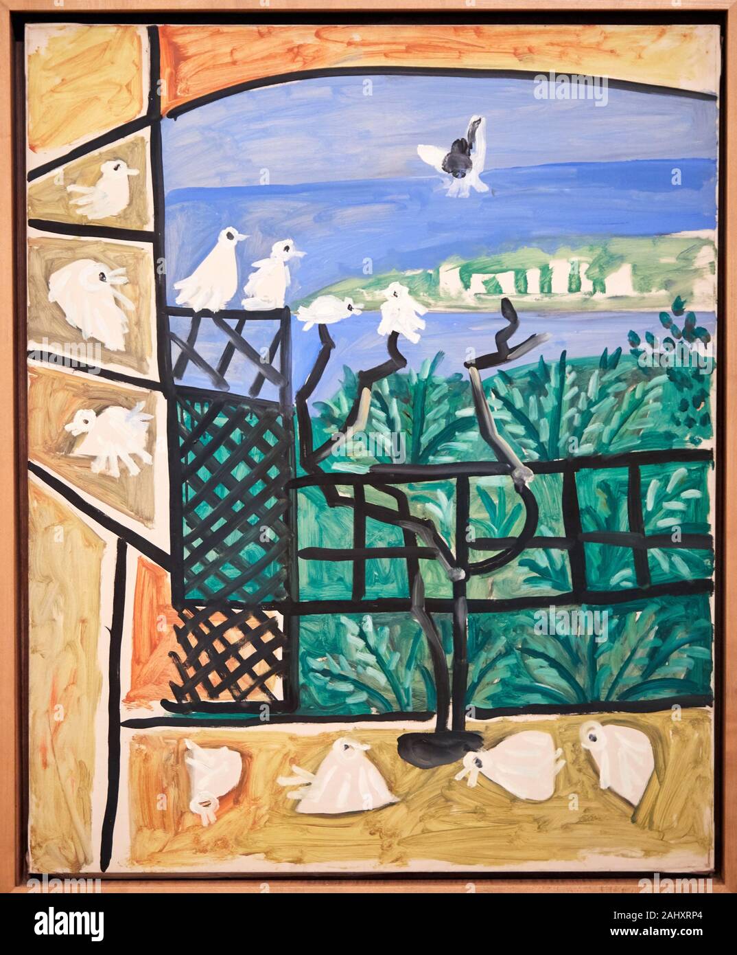 The pigeons pablo picasso 1957 hi-res stock photography and images - Alamy