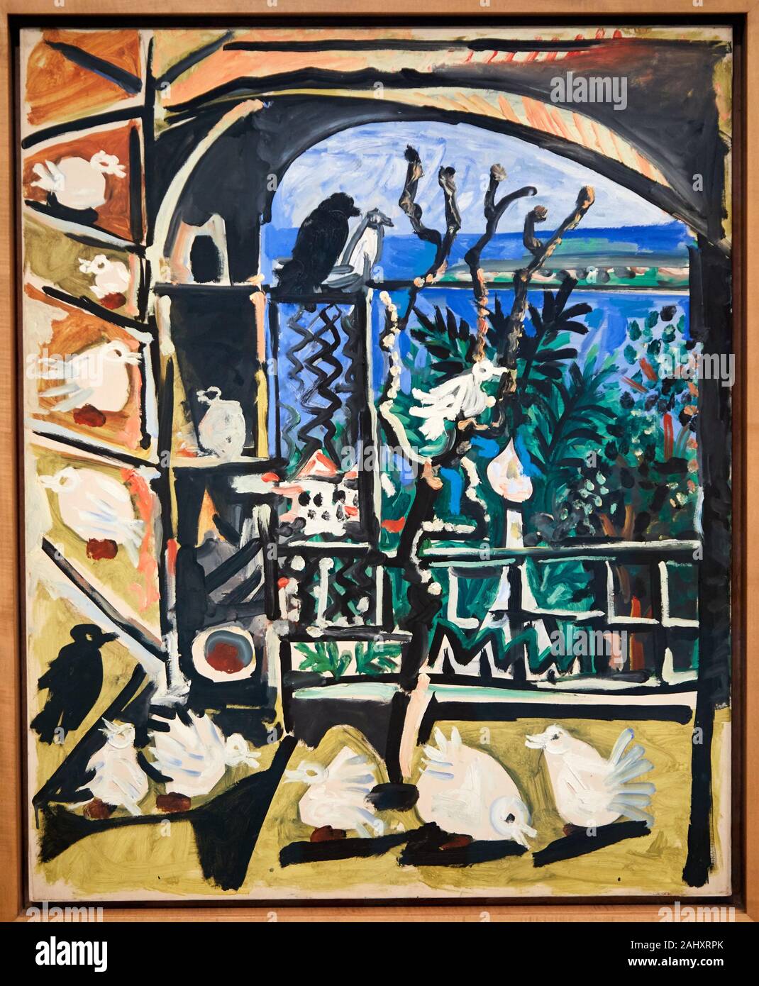 The pigeons pablo picasso 1957 hi-res stock photography and images - Alamy