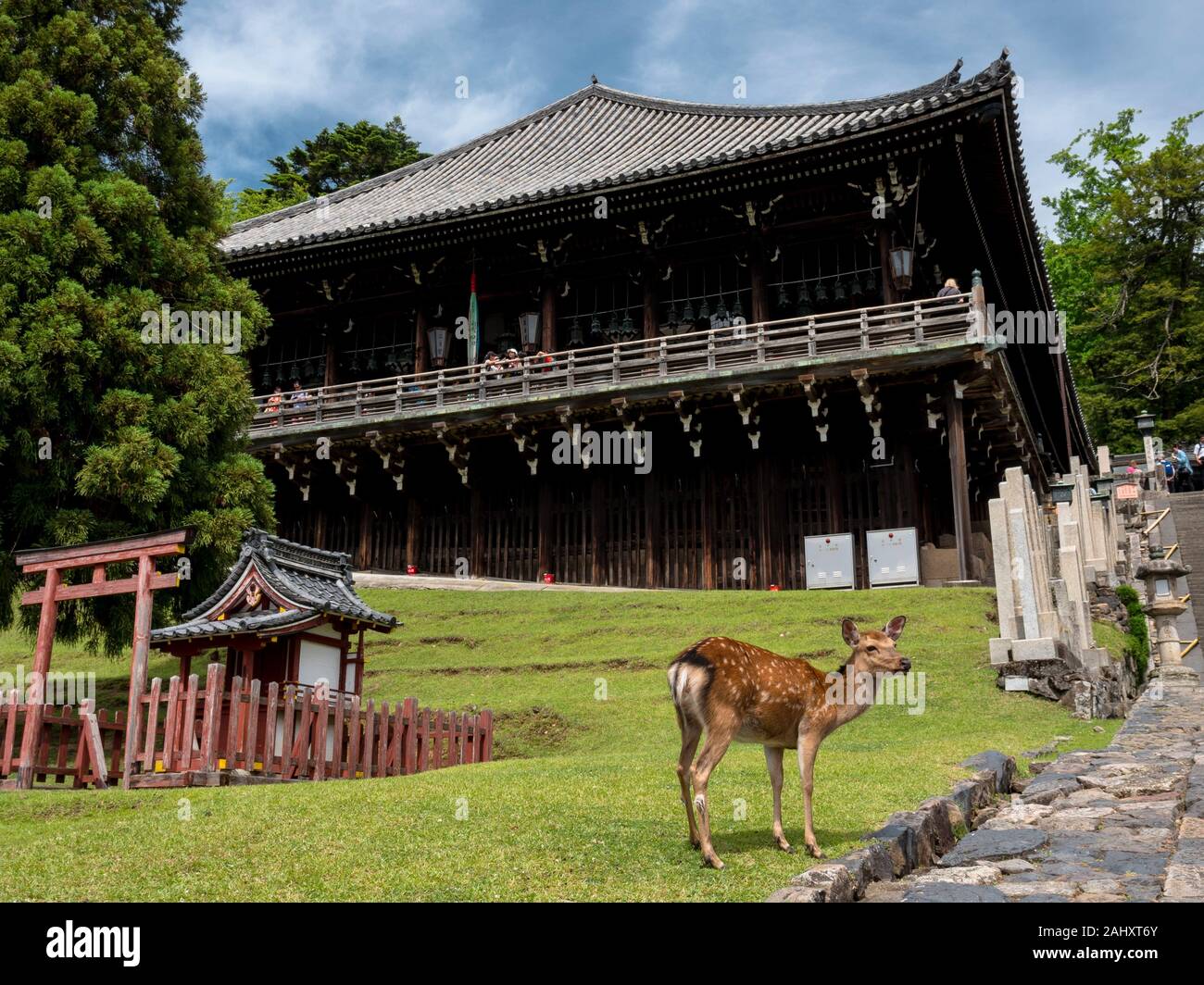 Nara temple hall nigatsu do hi-res stock photography and images - Alamy
