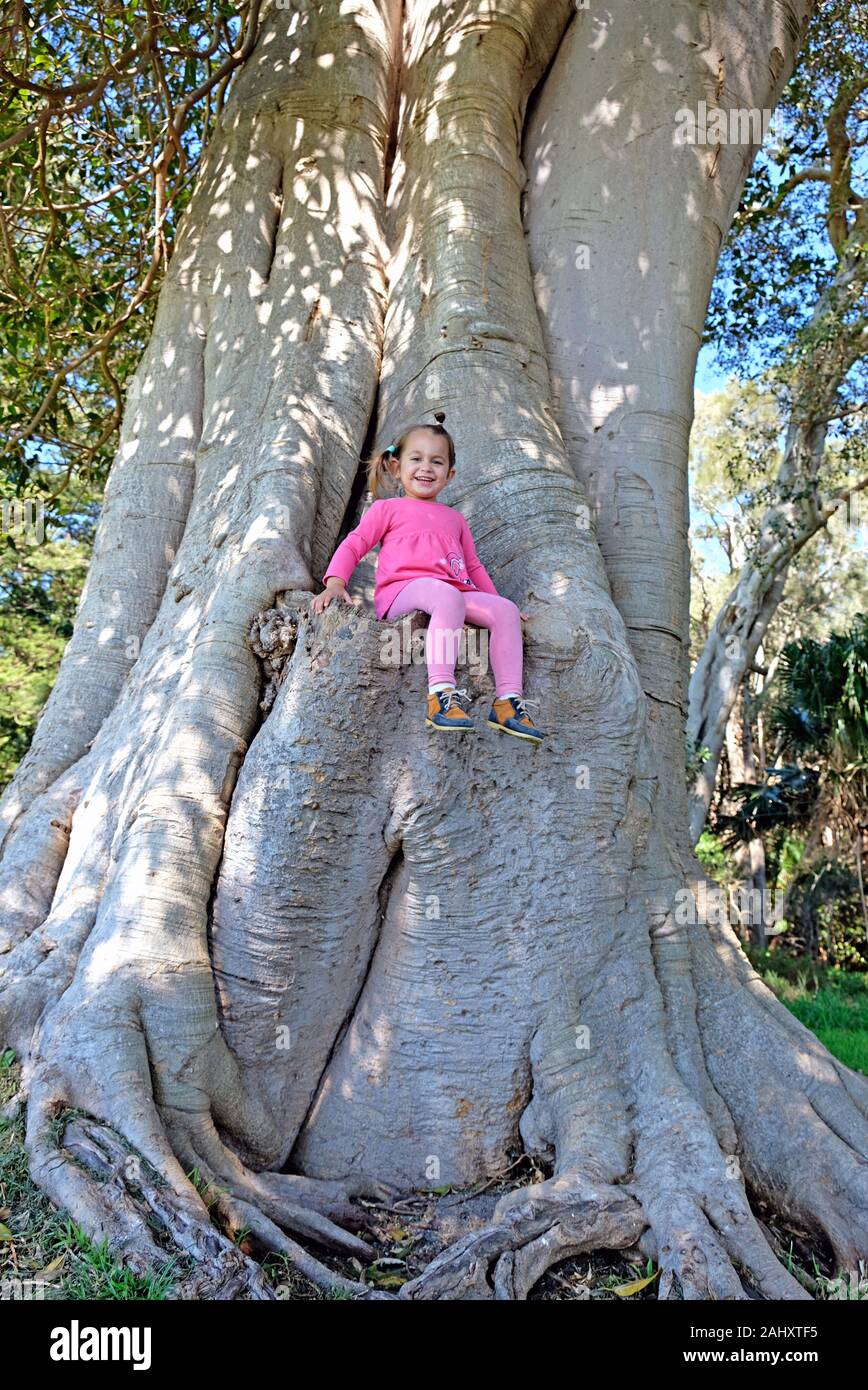 Baby girl sitting on a trunk of a huge tree in Kurnell area, Australia ...