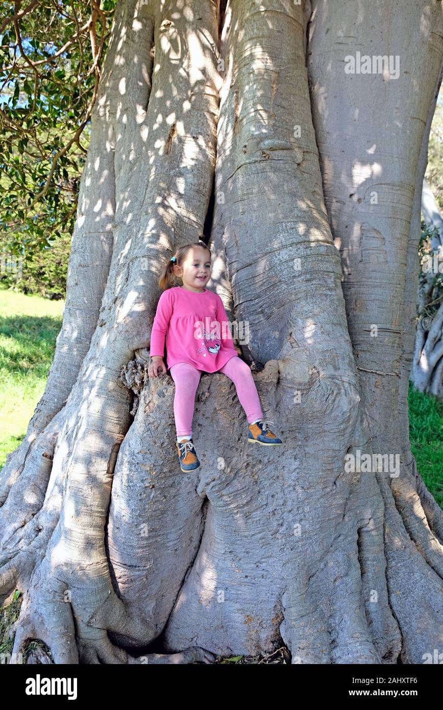 Baby girl sitting on a trunk of a huge tree in Kurnell area, Australia ...