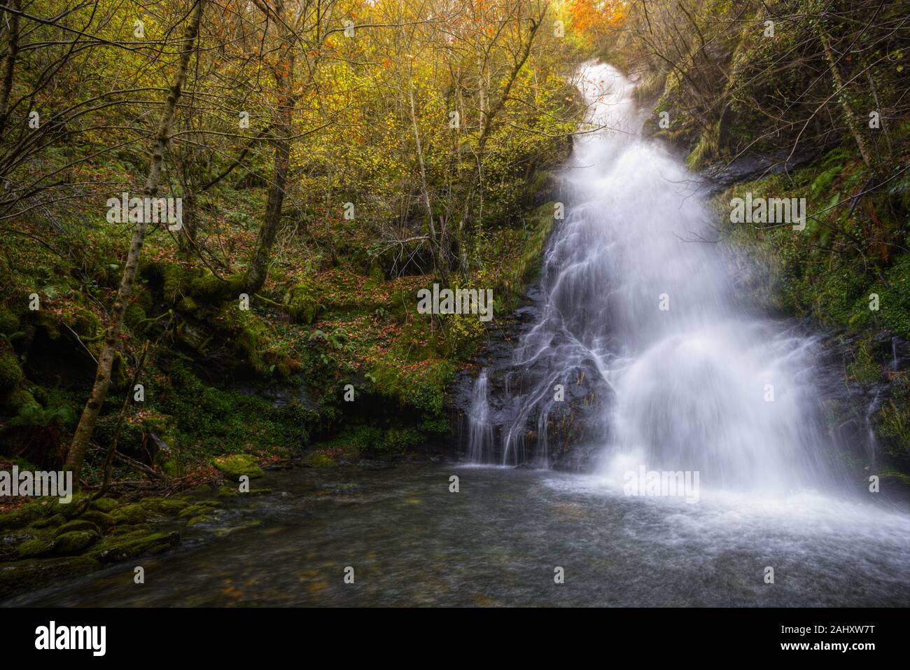Large flow of water in a waterfall in a very rainy fall, in Courel ...