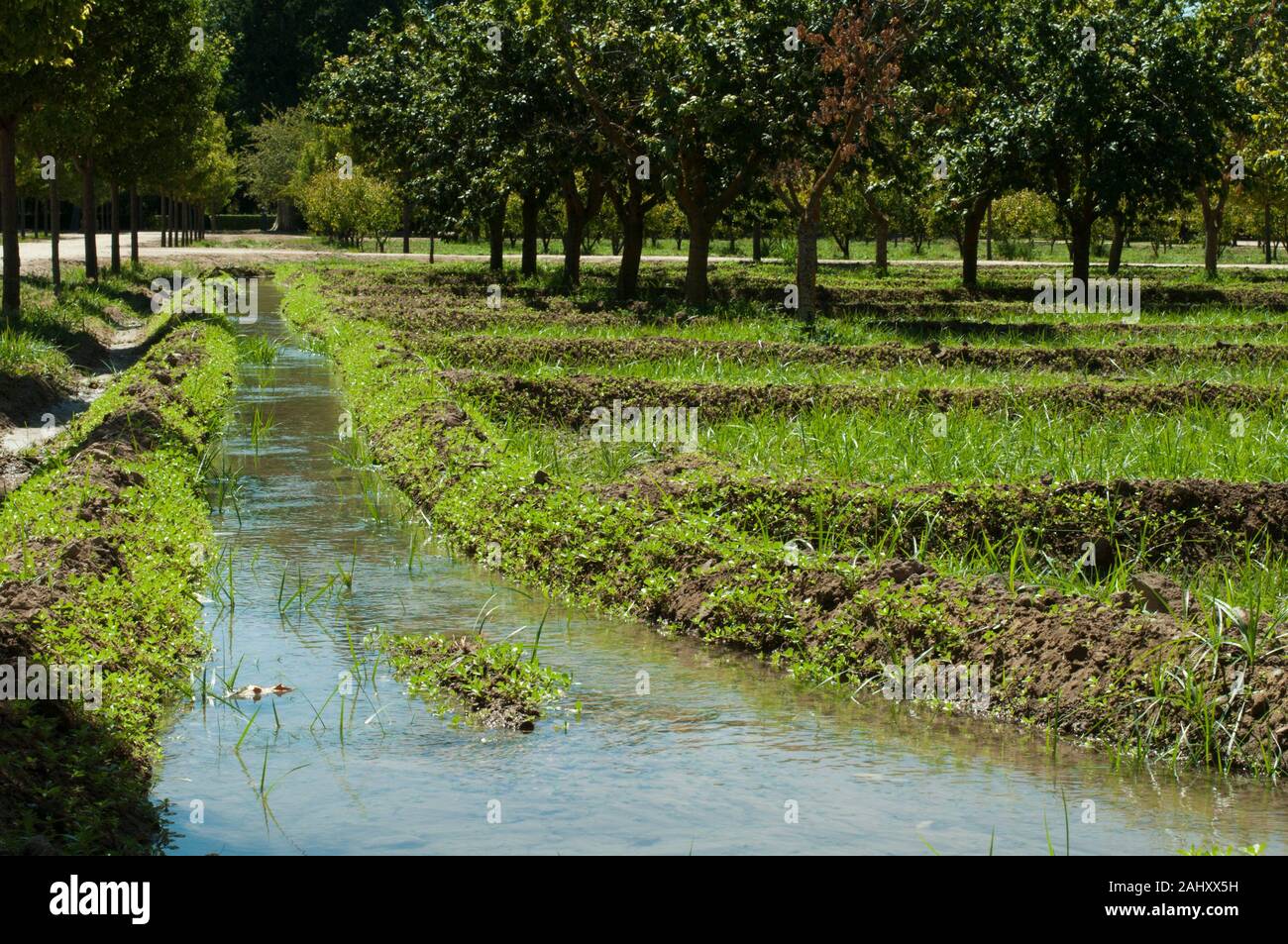 Field and water channels hi-res stock photography and images - Alamy