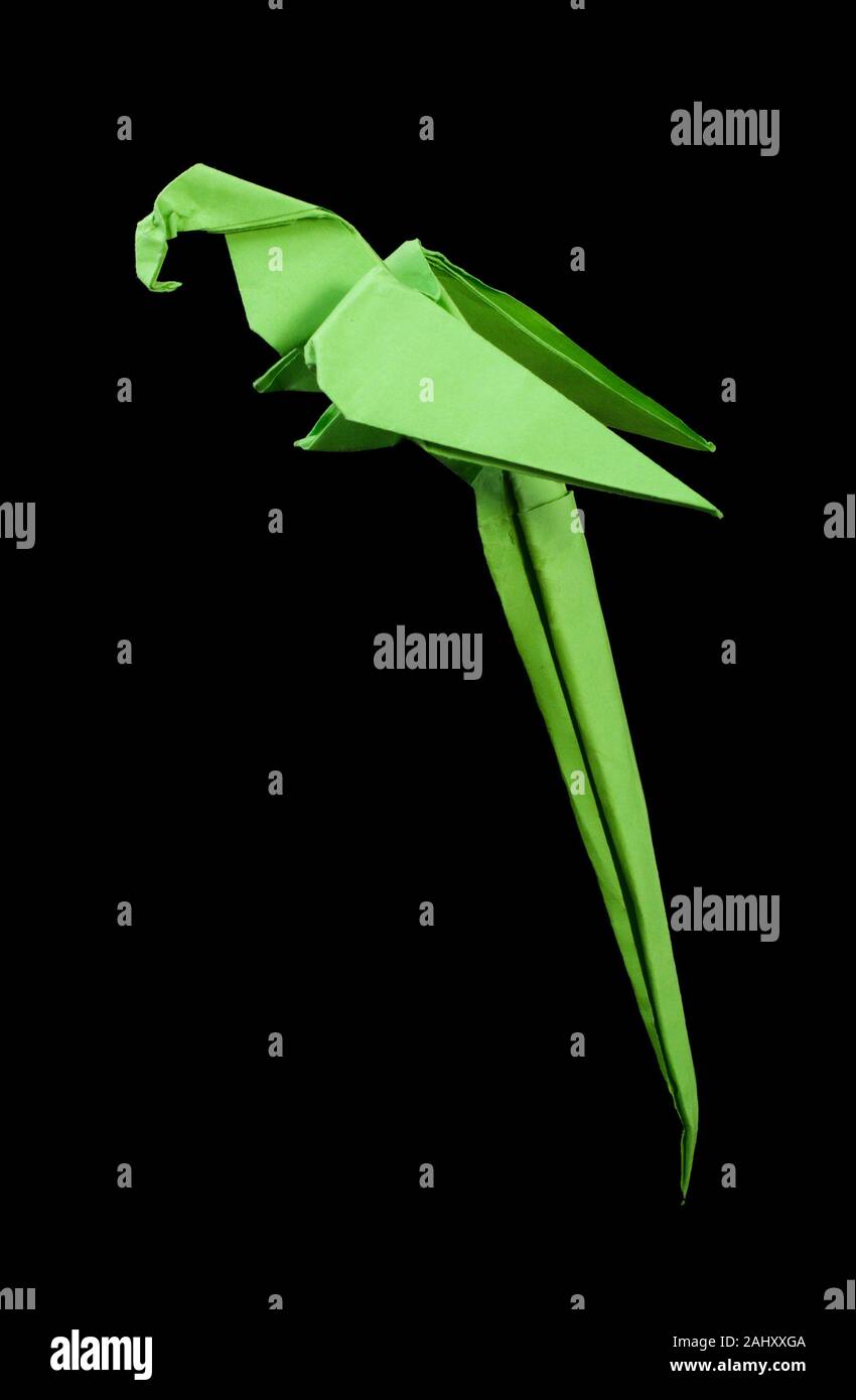 Parrot origami hi-res stock photography and images - Alamy