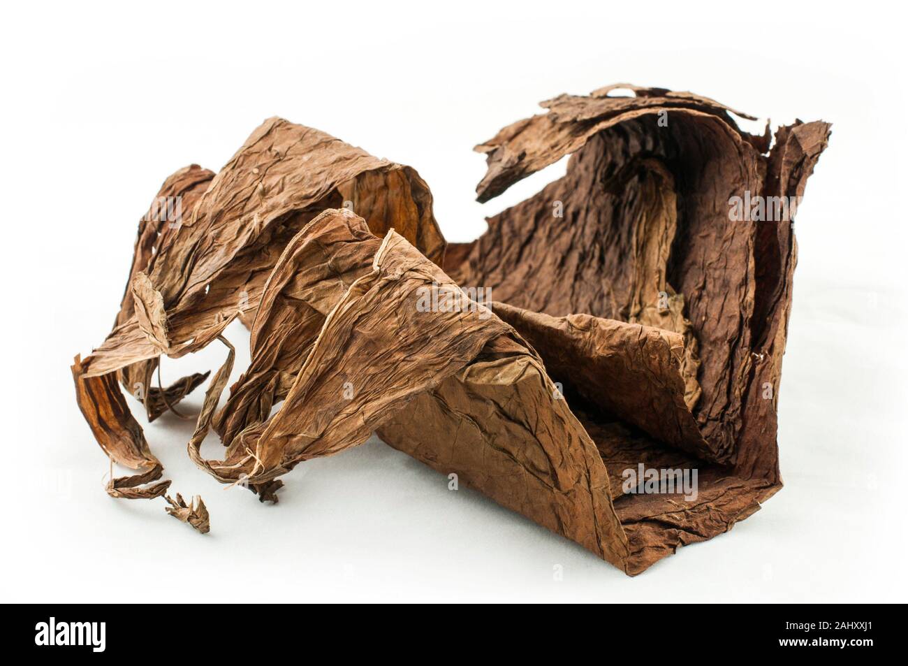 Dried Tobacco Leaf Cut Out Stock Images & Pictures - Alamy