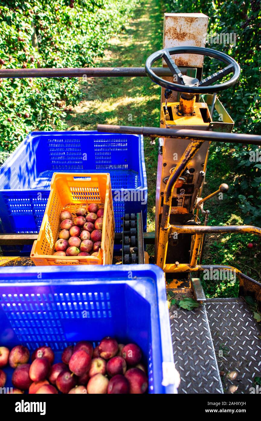Mechanical harvesting picking hi-res stock photography and images - Alamy