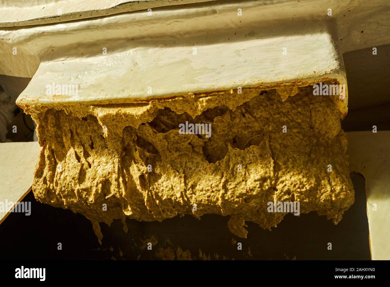 France, Côte d'Or, Beaune, Fallot mustard factory Stock Photo - Alamy