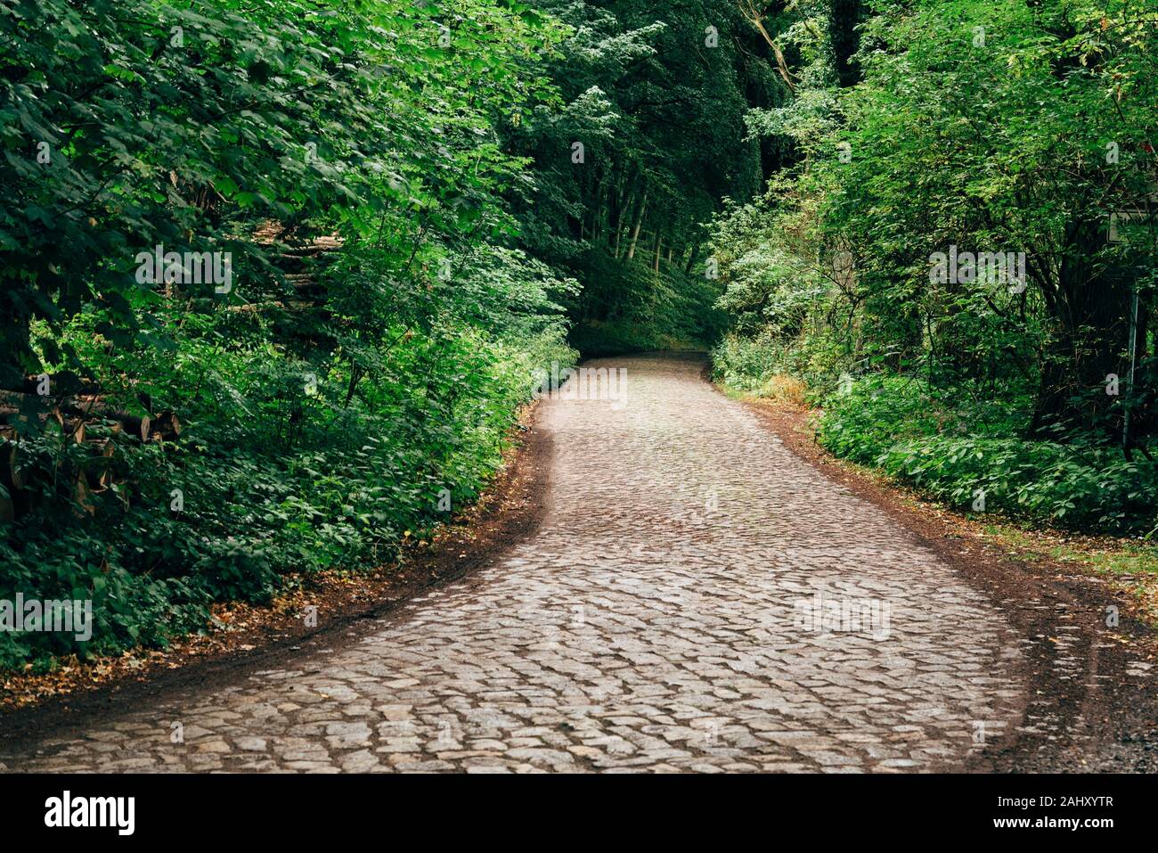 Natural pathway hi-res stock photography and images - Alamy