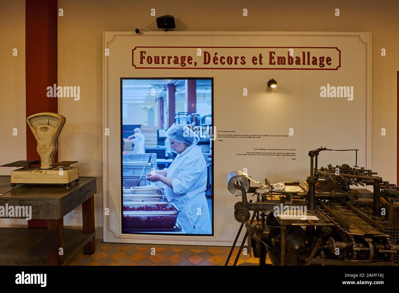 France, Burgundy, Côte-d'Or, Dijon, Unesco world heritage site ...