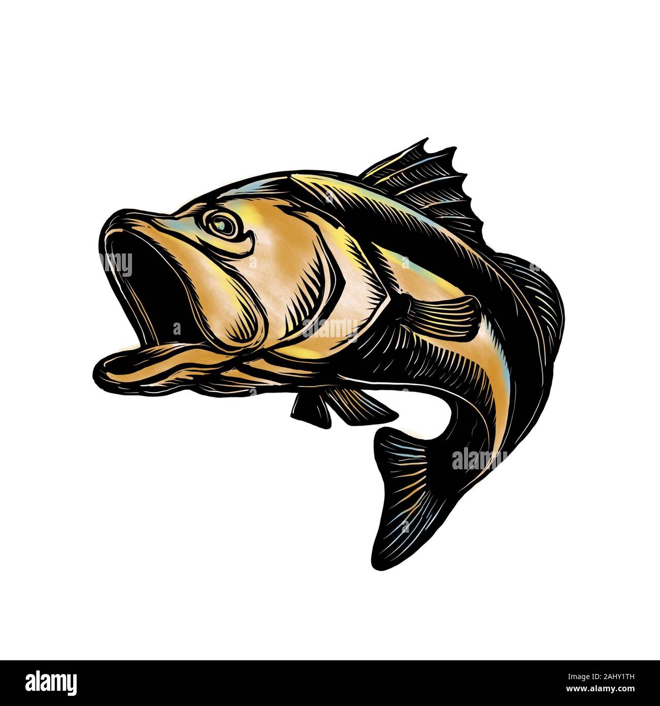 Fish jumping barramundi hi-res stock photography and images - Alamy