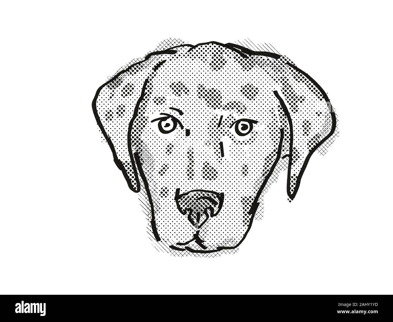 Cartoon Cur Catahoula
