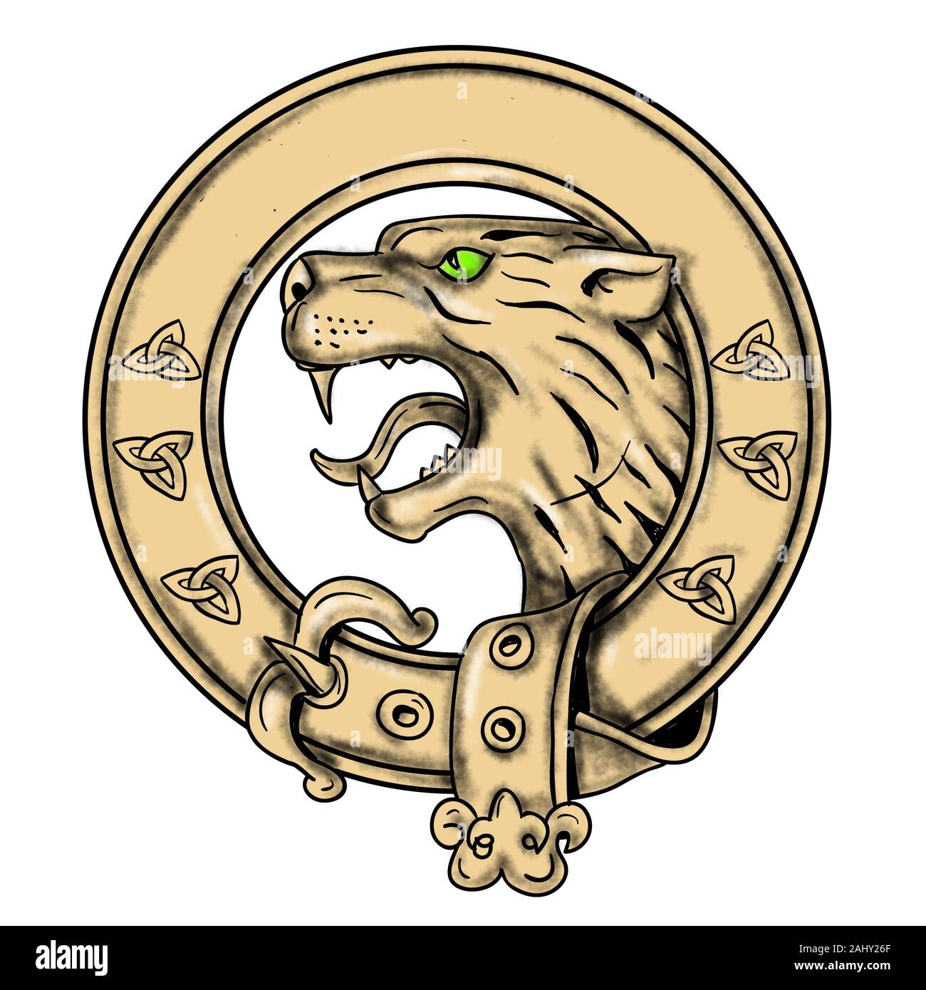 Scottish wildcat drawing hi-res stock photography and images - Alamy