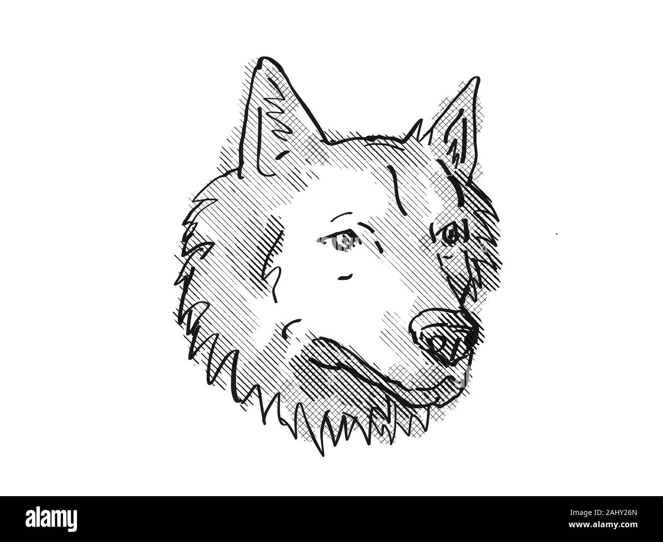 Animal head drawing hi-res stock photography and images - Alamy