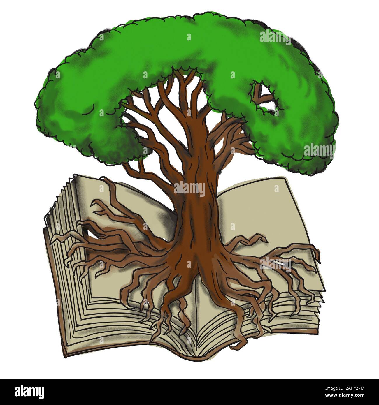 Oak Tree Drawing With Roots