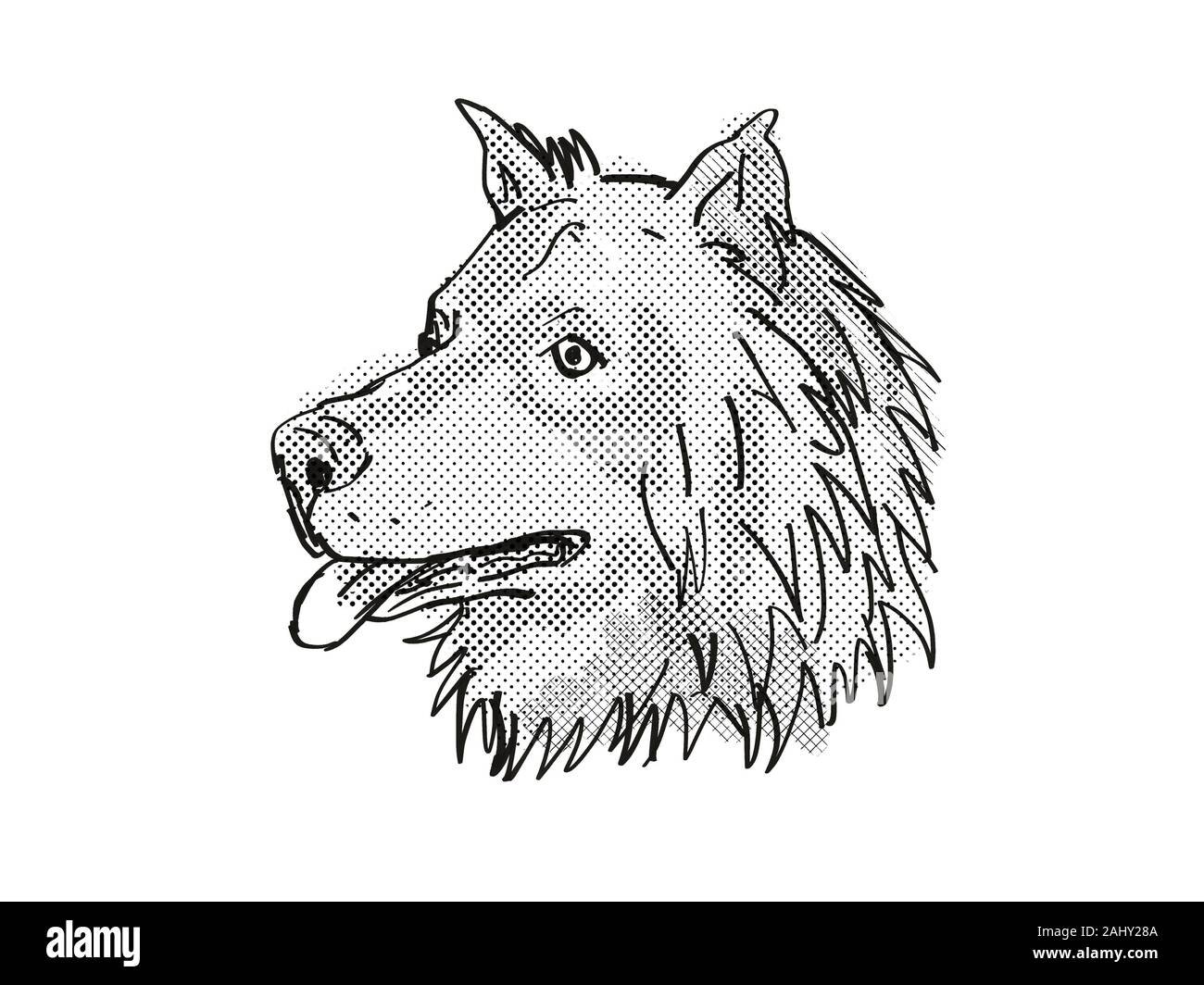 Wolf Face Cartoon Drawing