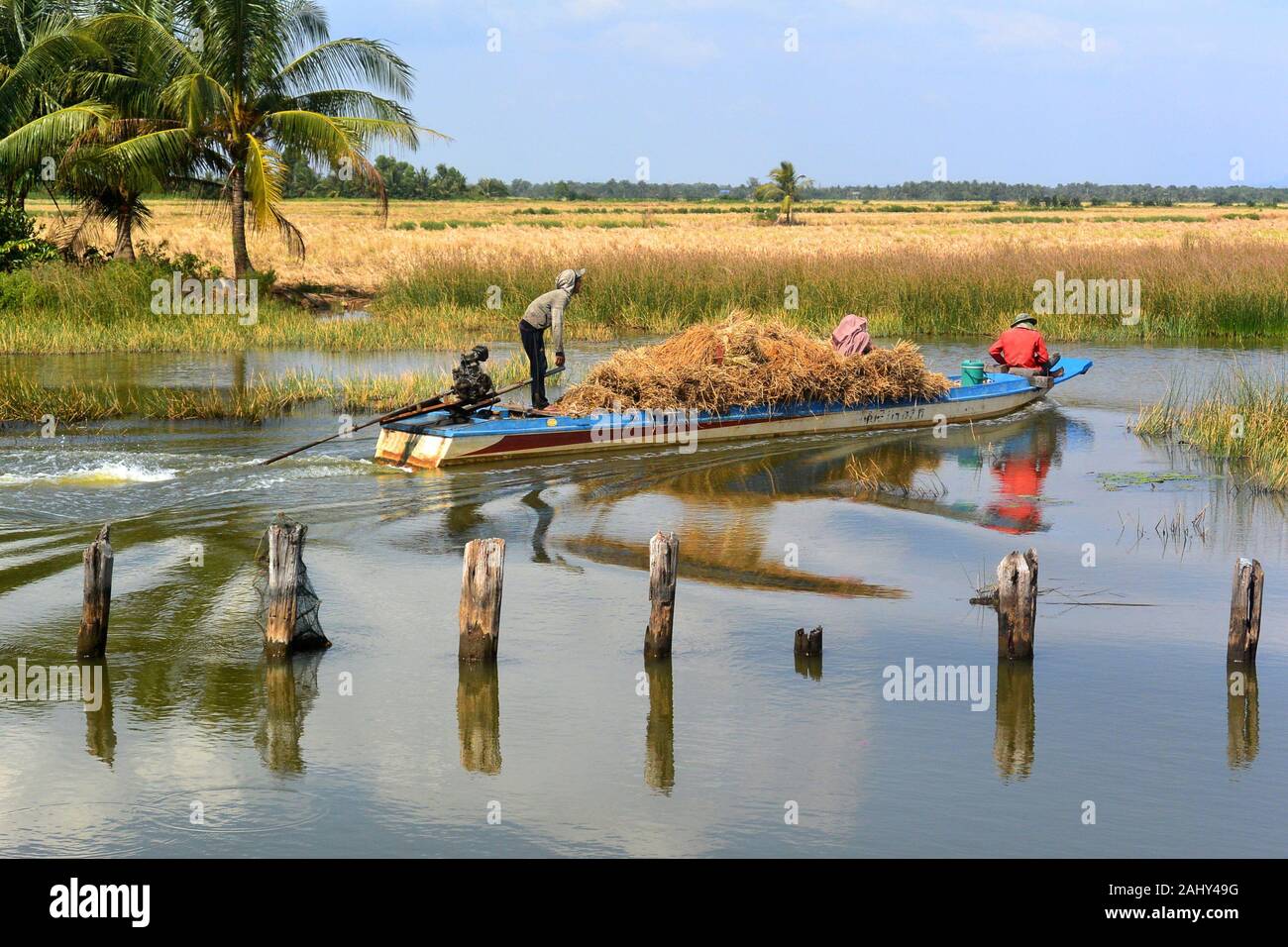 Man carrying hay hi-res stock photography and images - Alamy