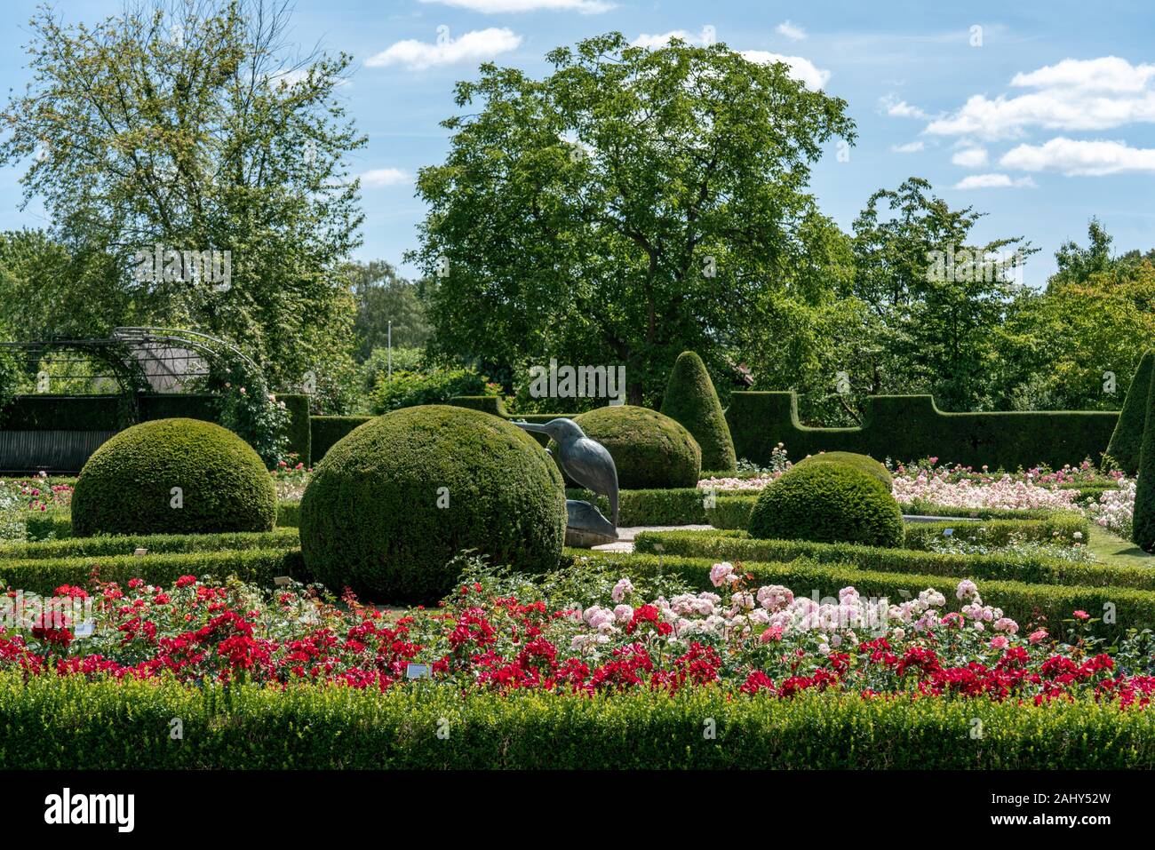 Formal rose garden hi-res stock photography and images - Alamy